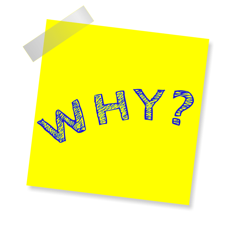 You’re making a decision? Why? – The Optimistic Cynic